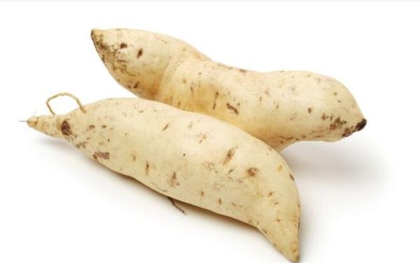 白薯长什么样_白薯和红薯的区别-第3张图片-山城妙识 白薯长什么样_白薯和红薯的区别-第3张图片-山城妙识