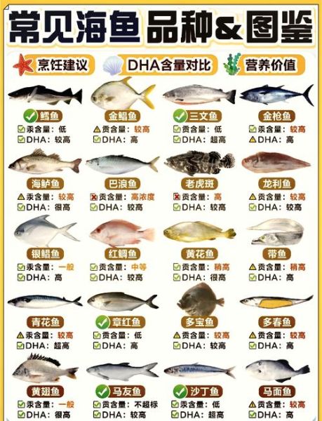海鱼种类图片和名字卡通_如何快速记住-第1张图片-山城妙识 海鱼种类图片和名字卡通_如何快速记住-第1张图片-山城妙识