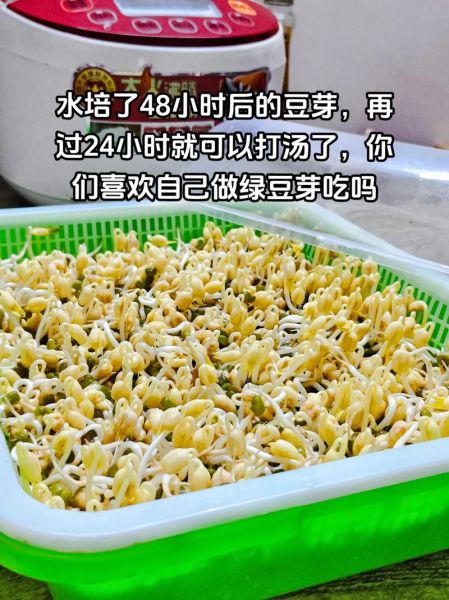 绿豆泡了10几个小时还能吃吗_如何正确保存泡发的绿豆-第3张图片-山城妙识 绿豆泡了10几个小时还能吃吗_如何正确保存泡发的绿豆-第3张图片-山城妙识
