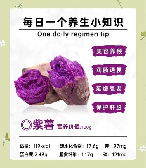 紫薯的营养价值及功效_紫薯怎么吃最健康-第1张图片-山城妙识 紫薯的营养价值及功效_紫薯怎么吃最健康-第1张图片-山城妙识