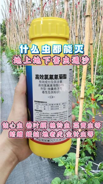 小菜蛾怎么防治_小菜蛾特效药有哪些-第3张图片-山城妙识