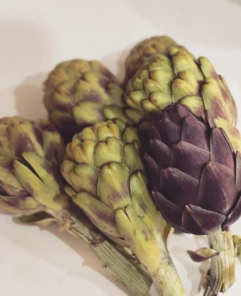 洋蓟怎么挑选_洋蓟怎么吃最营养-第3张图片-山城妙识