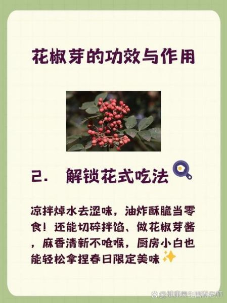 花椒能增强性功能吗_花椒提高性能力怎么吃-第1张图片-山城妙识 花椒能增强性功能吗_花椒提高性能力怎么吃-第1张图片-山城妙识