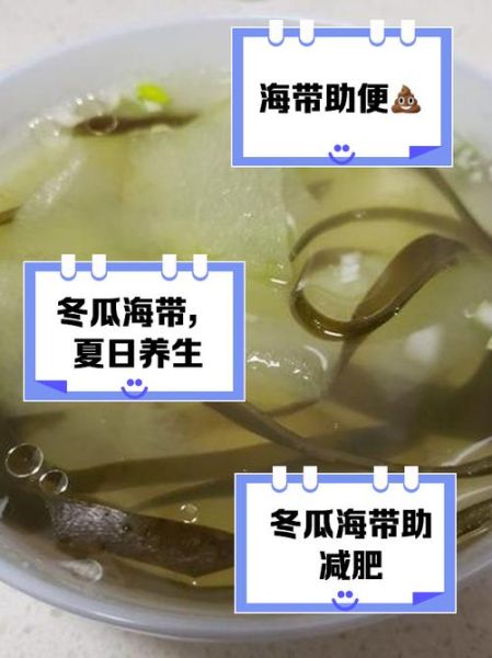 海带冬瓜排骨汤怎么做_海带冬瓜排骨汤的功效-第2张图片-山城妙识