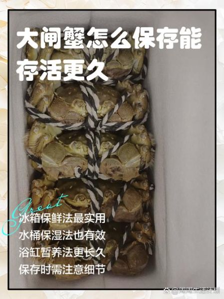 大闸蟹怎么保存_大闸蟹保鲜方法-第1张图片-山城妙识 大闸蟹怎么保存_大闸蟹保鲜方法-第1张图片-山城妙识