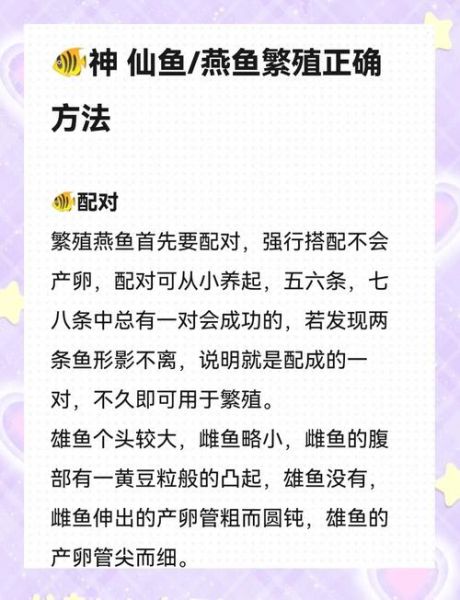 燕鱼繁殖正确方法_燕鱼繁殖失败原因-第3张图片-山城妙识 燕鱼繁殖正确方法_燕鱼繁殖失败原因-第3张图片-山城妙识