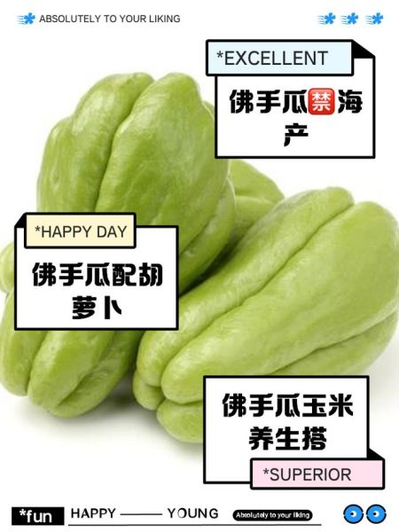 佛手瓜不能和什么一起吃_佛手瓜禁忌人群有哪些-第2张图片-山城妙识