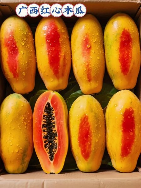 每天吃一个木瓜一个月后的效果_木瓜吃多久见效-第3张图片-山城妙识 每天吃一个木瓜一个月后的效果_木瓜吃多久见效-第3张图片-山城妙识