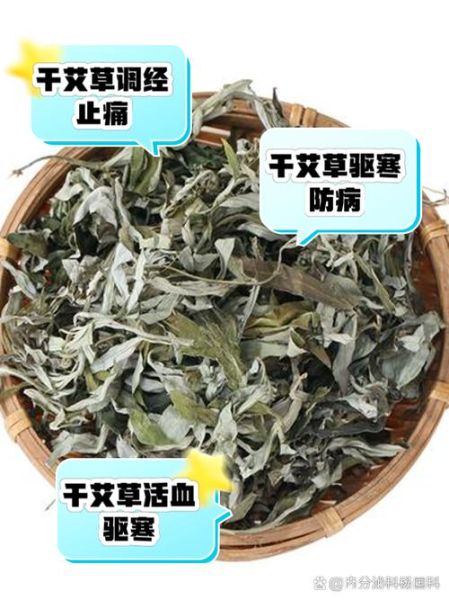 干艾草的功效与作用_干艾草怎么用效果最好-第3张图片-山城妙识
