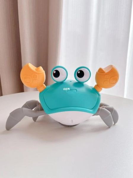 网红螃蟹玩具哪里买_网红螃蟹玩具多少钱-第1张图片-山城妙识 网红螃蟹玩具哪里买_网红螃蟹玩具多少钱-第1张图片-山城妙识