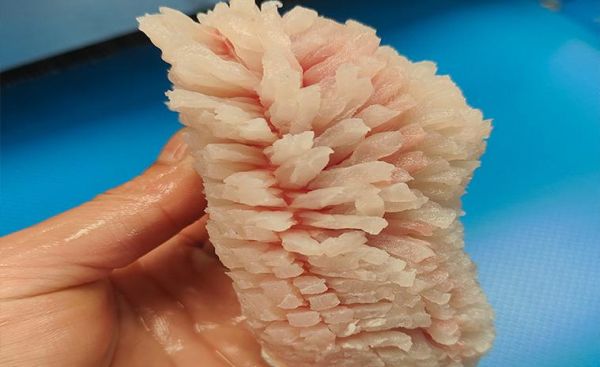 松鼠鱼怎么切花刀_松鼠鱼刀法图解窍门-第3张图片-山城妙识