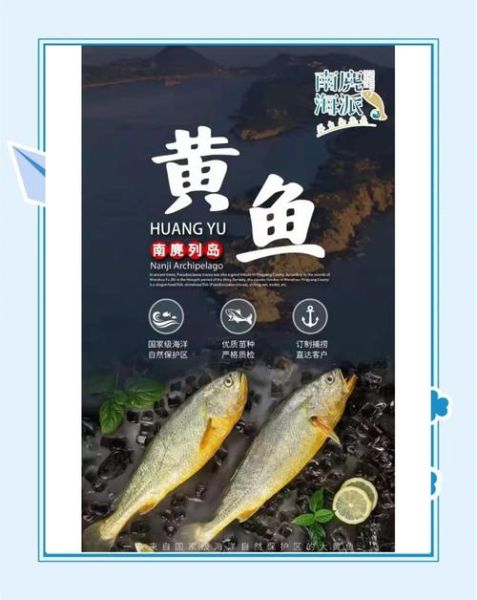 正宗野生大黄鱼多少钱一斤_如何分辨真假-第1张图片-山城妙识 正宗野生大黄鱼多少钱一斤_如何分辨真假-第1张图片-山城妙识