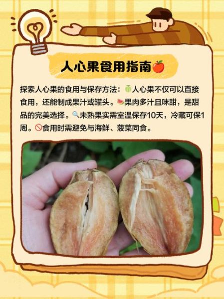 人心果怎么吃_人心果的正确吃法-第1张图片-山城妙识 人心果怎么吃_人心果的正确吃法-第1张图片-山城妙识