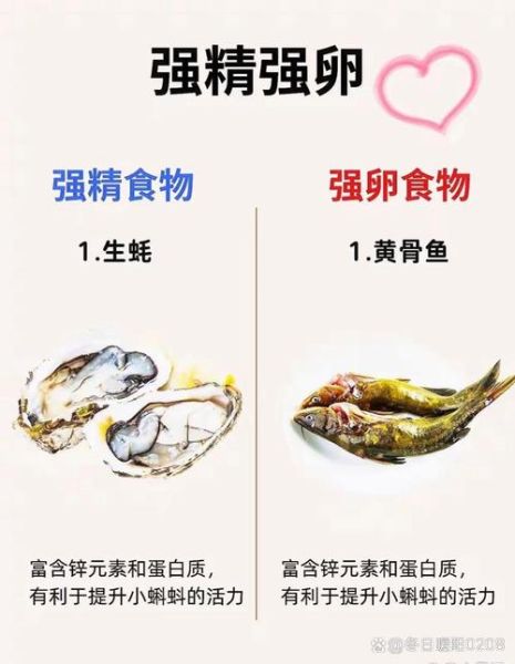 备孕吃什么养卵泡_提高卵子质量的食物有哪些-第1张图片-山城妙识