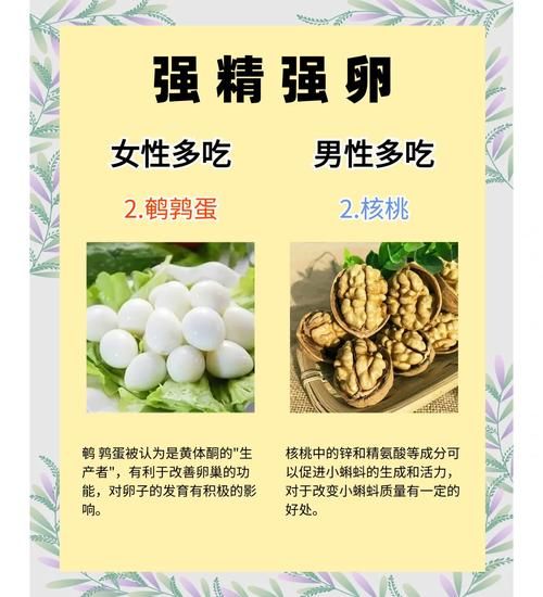 备孕吃什么养卵泡_提高卵子质量的食物有哪些-第3张图片-山城妙识