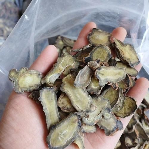 田七图片大全_田七长什么样-第2张图片-山城妙识 田七图片大全_田七长什么样-第2张图片-山城妙识