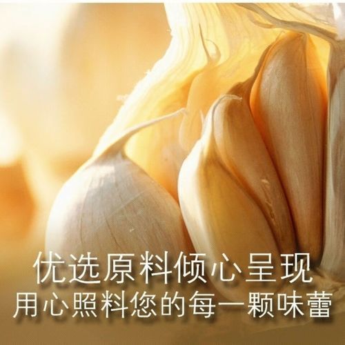 大蒜粉怎么保存_大蒜粉的制作方法-第1张图片-山城妙识