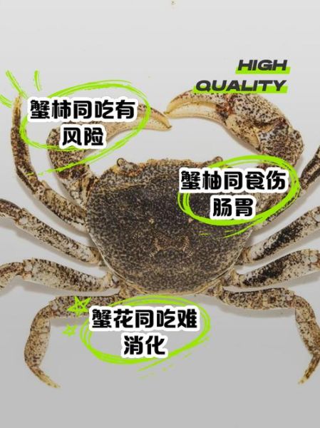 吃海鲜不能吃什么_海鲜与哪些食物相克-第2张图片-山城妙识