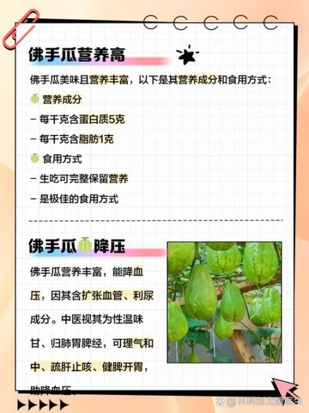 佛手瓜能生吃吗_佛手瓜皮能吃吗-第3张图片-山城妙识