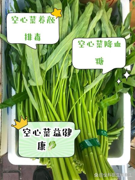 空心菜降血压吗_空心菜的营养价值有哪些-第1张图片-山城妙识