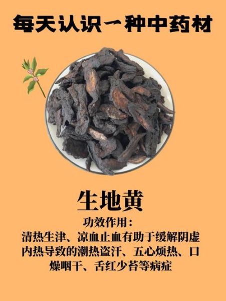 女人用生地还是熟地_哪个更适合调理气血-第3张图片-山城妙识 女人用生地还是熟地_哪个更适合调理气血-第3张图片-山城妙识