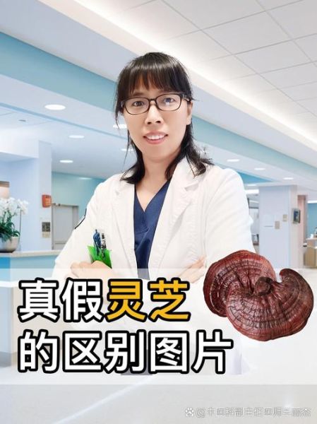 真假灵芝的区别图片_如何辨别野生灵芝-第2张图片-山城妙识