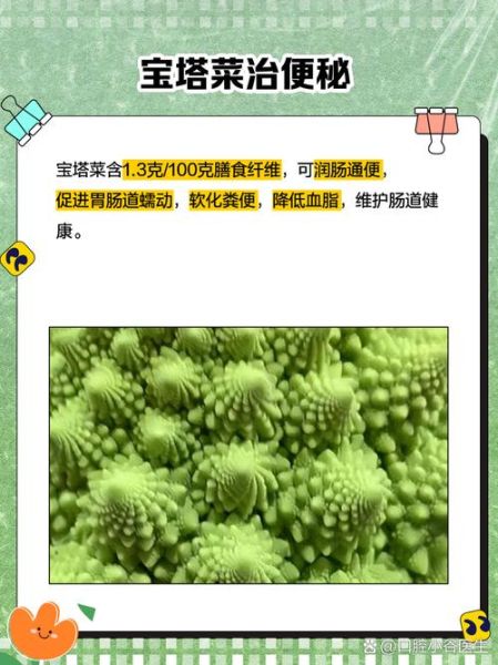 宝塔菜怎么种_宝塔菜和宝塔花菜区别-第3张图片-山城妙识