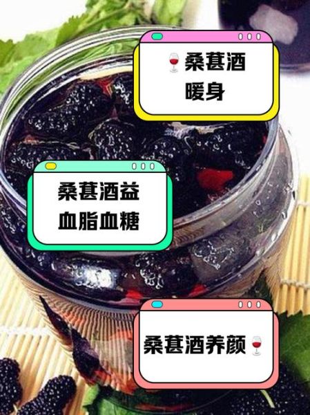 桑葚泡酒补肾壮阳吗_桑葚酒壮阳效果怎么样-第1张图片-山城妙识