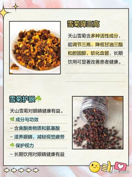 天山雪菊的功效与禁忌_什么人不能喝-第1张图片-山城妙识