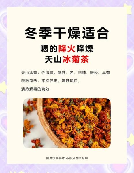 天山雪菊的功效与禁忌_什么人不能喝-第2张图片-山城妙识