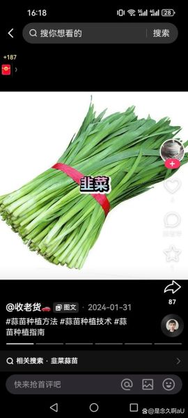 男人壮阳吃什么蔬菜_哪些蔬菜能提高性功能-第2张图片-山城妙识