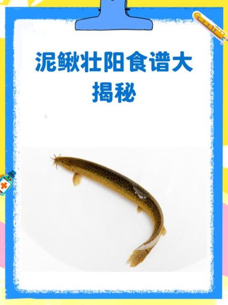 泥鳅怎么吃壮阳_泥鳅壮阳的正确吃法-第3张图片-山城妙识