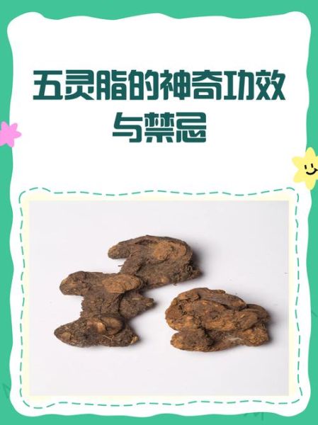 五灵脂是什么动物的粪便_五灵脂功效与作用-第3张图片-山城妙识