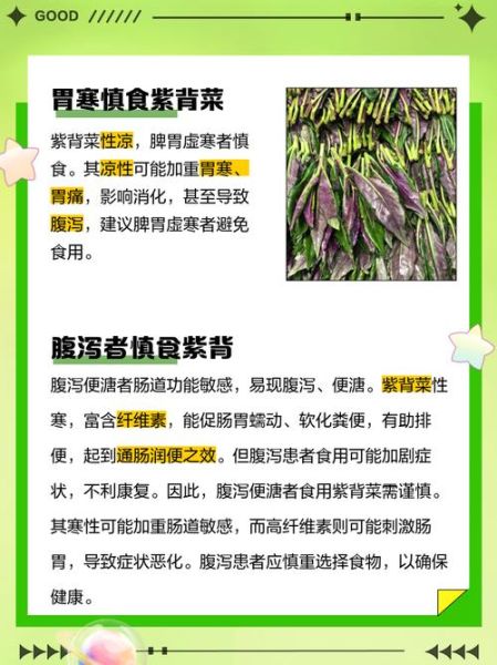 紫背菜不能和什么一起吃_紫背菜相克食物有哪些-第1张图片-山城妙识 紫背菜不能和什么一起吃_紫背菜相克食物有哪些-第1张图片-山城妙识