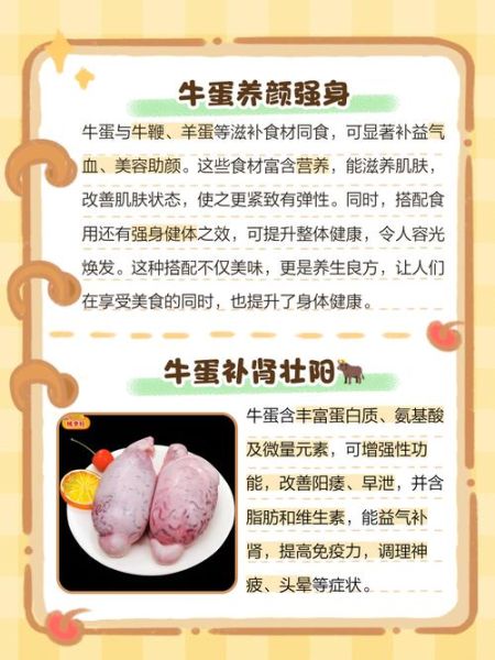 牛蛋是什么_牛蛋的功效与作用-第1张图片-山城妙识