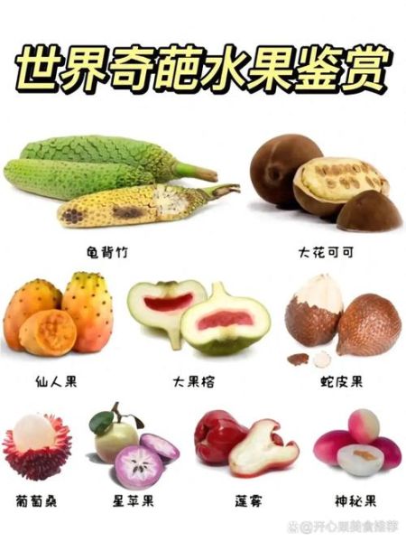 稀有水果名称大全_哪些水果最罕见-第2张图片-山城妙识