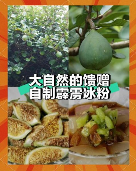 冰粉果是什么_冰粉果怎么做-第1张图片-山城妙识