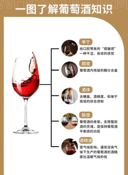 葡萄酒的功效与作用每天喝多少_每天应该喝多少葡萄酒才健康-第3张图片-山城妙识 葡萄酒的功效与作用每天喝多少_每天应该喝多少葡萄酒才健康-第3张图片-山城妙识