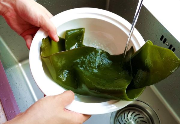 海带块怎么泡发_海带块怎么做好吃-第3张图片-山城妙识 海带块怎么泡发_海带块怎么做好吃-第3张图片-山城妙识