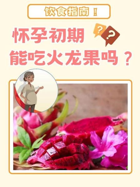 什么时候吃火龙果减肥_火龙果减肥最佳时间-第2张图片-山城妙识