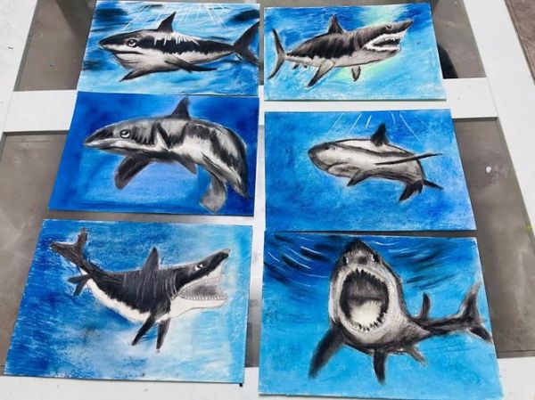 鲨鱼起点怎么写_鲨鱼起点写作技巧-第2张图片-山城妙识