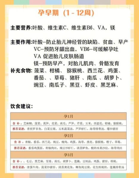 怀孕1到3个月吃什么好_孕早期饮食禁忌有哪些-第3张图片-山城妙识 怀孕1到3个月吃什么好_孕早期饮食禁忌有哪些-第3张图片-山城妙识