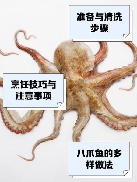 炒八爪鱼怎么做好吃_八爪鱼焯水几分钟才嫩-第1张图片-山城妙识