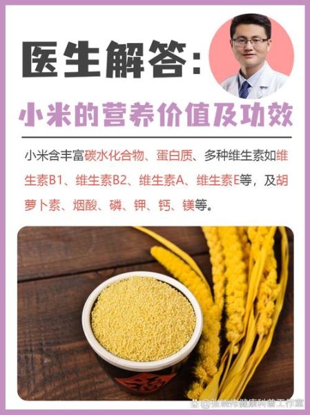 小米的功效与作用及食用方法_小米的禁忌有哪些-第1张图片-山城妙识