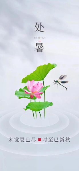 处暑图片大全去哪找_处暑高清壁纸怎么选-第1张图片-山城妙识