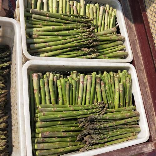 菜市场笋的种类有哪些_新鲜春笋怎么挑-第3张图片-山城妙识 菜市场笋的种类有哪些_新鲜春笋怎么挑-第3张图片-山城妙识