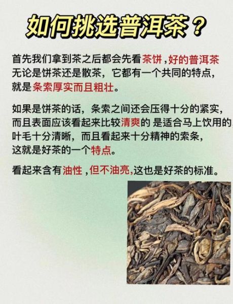 普洱茶生茶十大品种有哪些_如何区分好坏-第2张图片-山城妙识