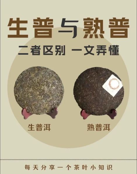 普洱茶生茶十大品种有哪些_如何区分好坏-第3张图片-山城妙识