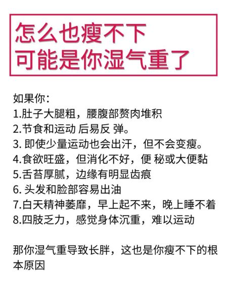 人胖湿气重肚子大怎么减肥_湿气重肚子大怎么调理-第1张图片-山城妙识