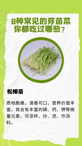 芽苗菜种植基地怎么选_芽苗菜种植技术要点-第1张图片-山城妙识